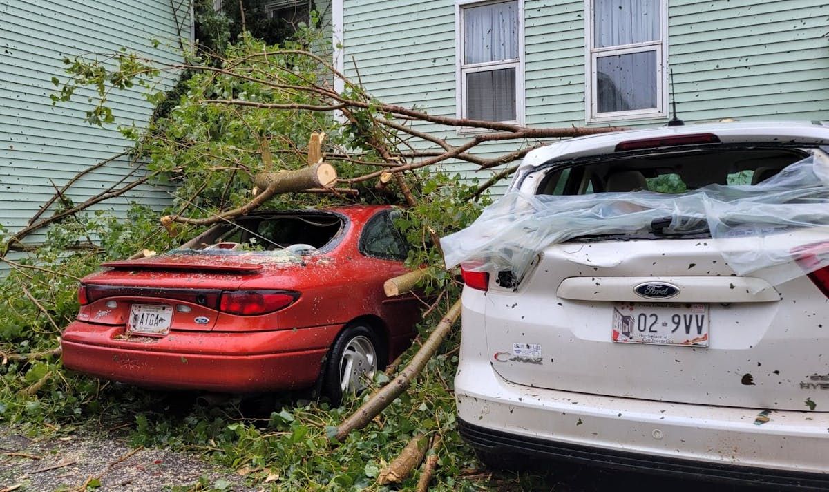 Fiona rips up trees, floods streets, shuts off power for most of P.E.I ...