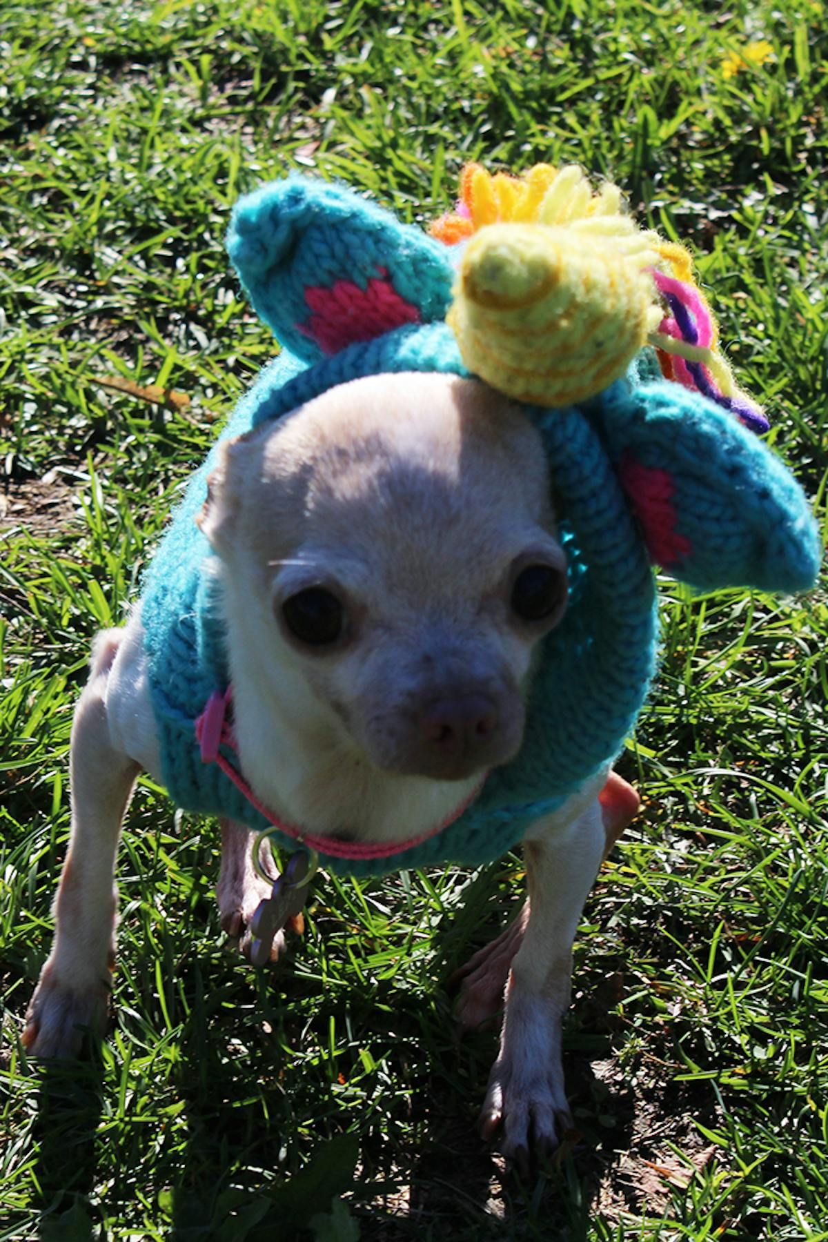 Downtown Truro Partnership celebrates Halloween with festivities in ...