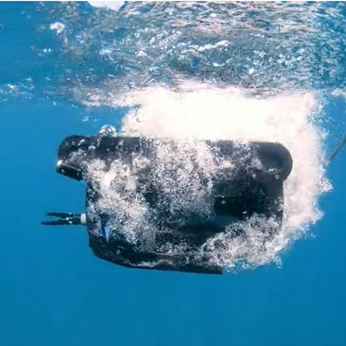 MUN's Marine Institute hosting 2024 regional underwater robotics ...