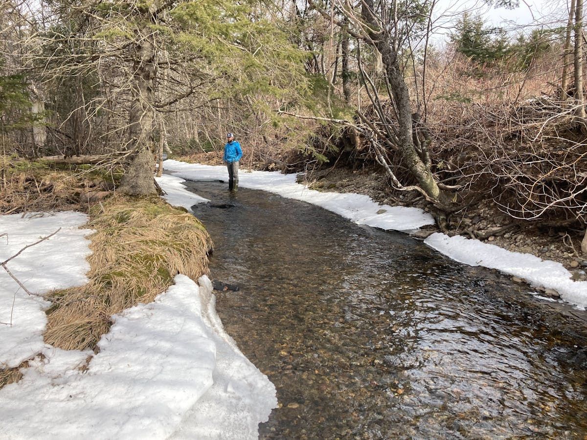 From cross-dressing poachers to gold mines: Slow work to repair a Nova ...