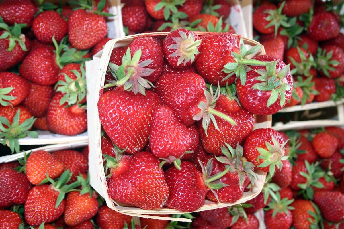 Use them fresh, frozen or in a beverage: It’s just about strawberry ...