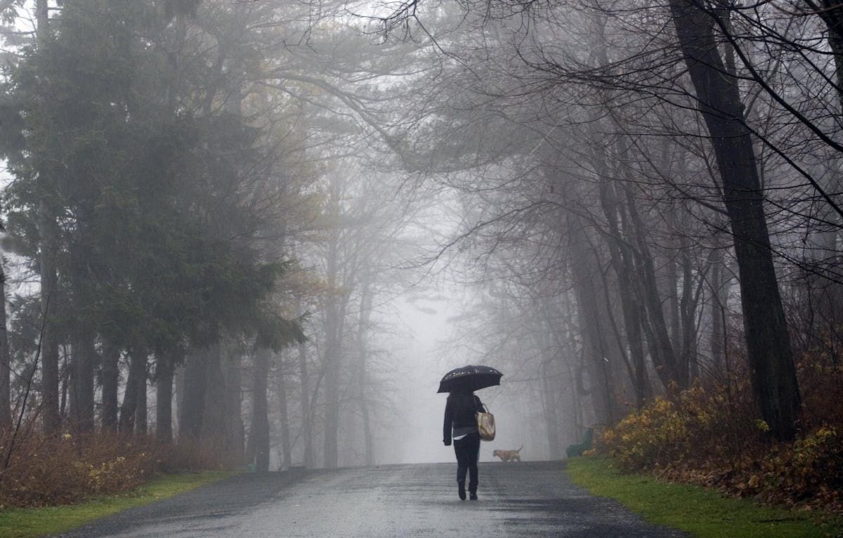 FOG 101: Dissecting the three categories of frontal fog | PNI Atlantic News