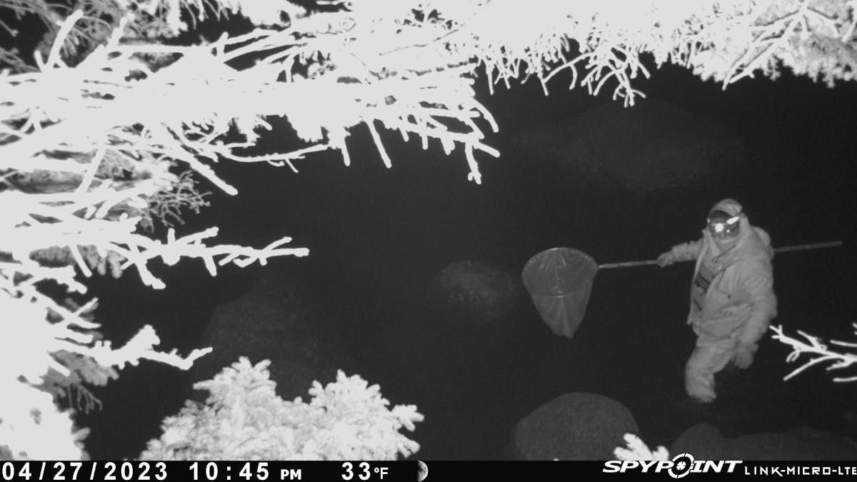 Canada’s graduation from lax fisheries enforcer to laundromat for ...