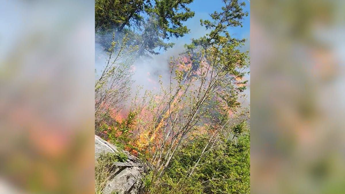 Roofers believe they witnessed start of Tantallon wildfire: ‘It just ...