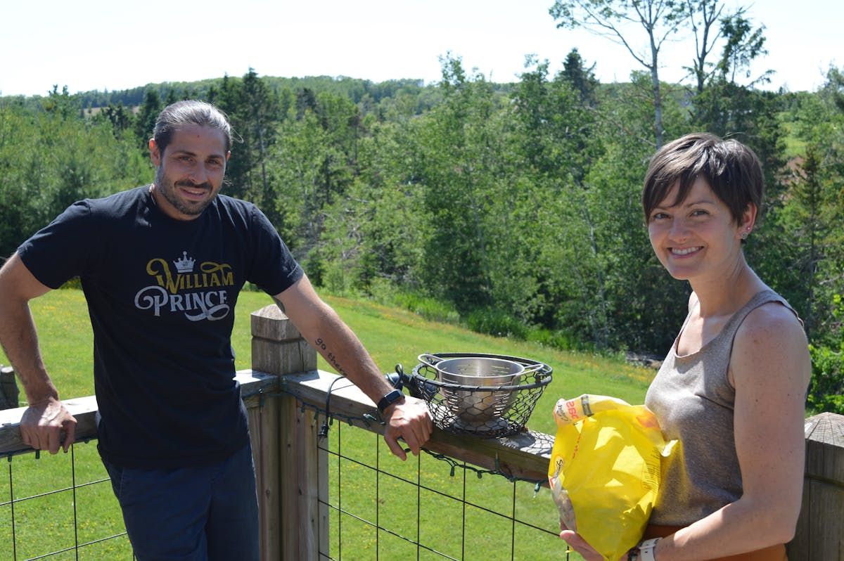 Pesky crow wreaks havoc on P.E.I. family | PNI Atlantic News