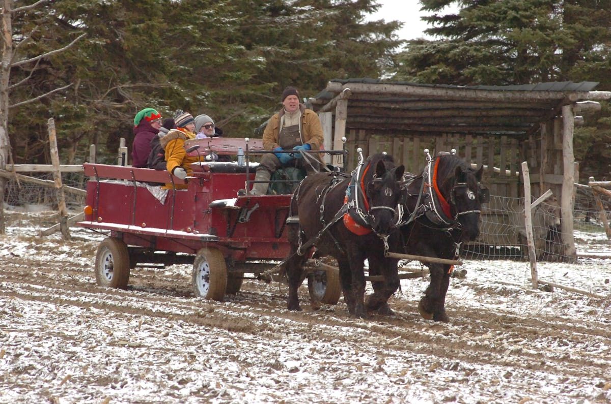 "Let's all go for a sleigh ride" | PNI Atlantic News