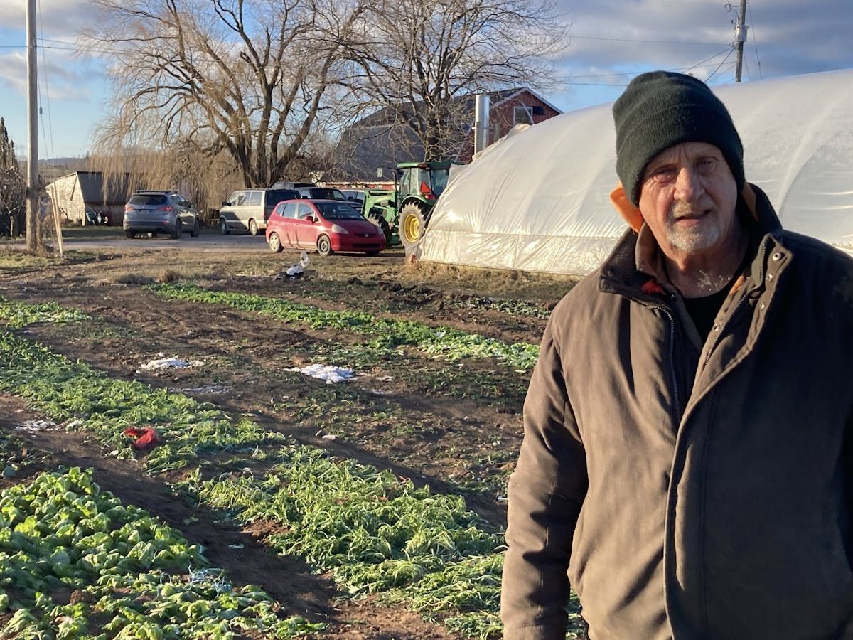 Annapolis Valley farmer contemplating future after storm destroys ...