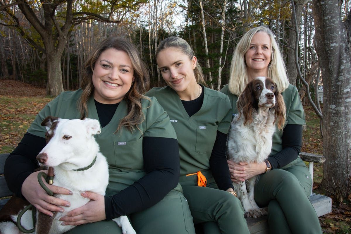 New Halifax veterinary firm AprilVets aims to open clinics across ...
