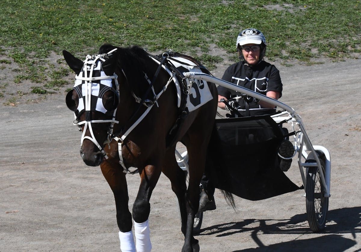 20 QUESTIONS: With top P.E.I. harness racing trainer Jenn Doyle | PNI ...