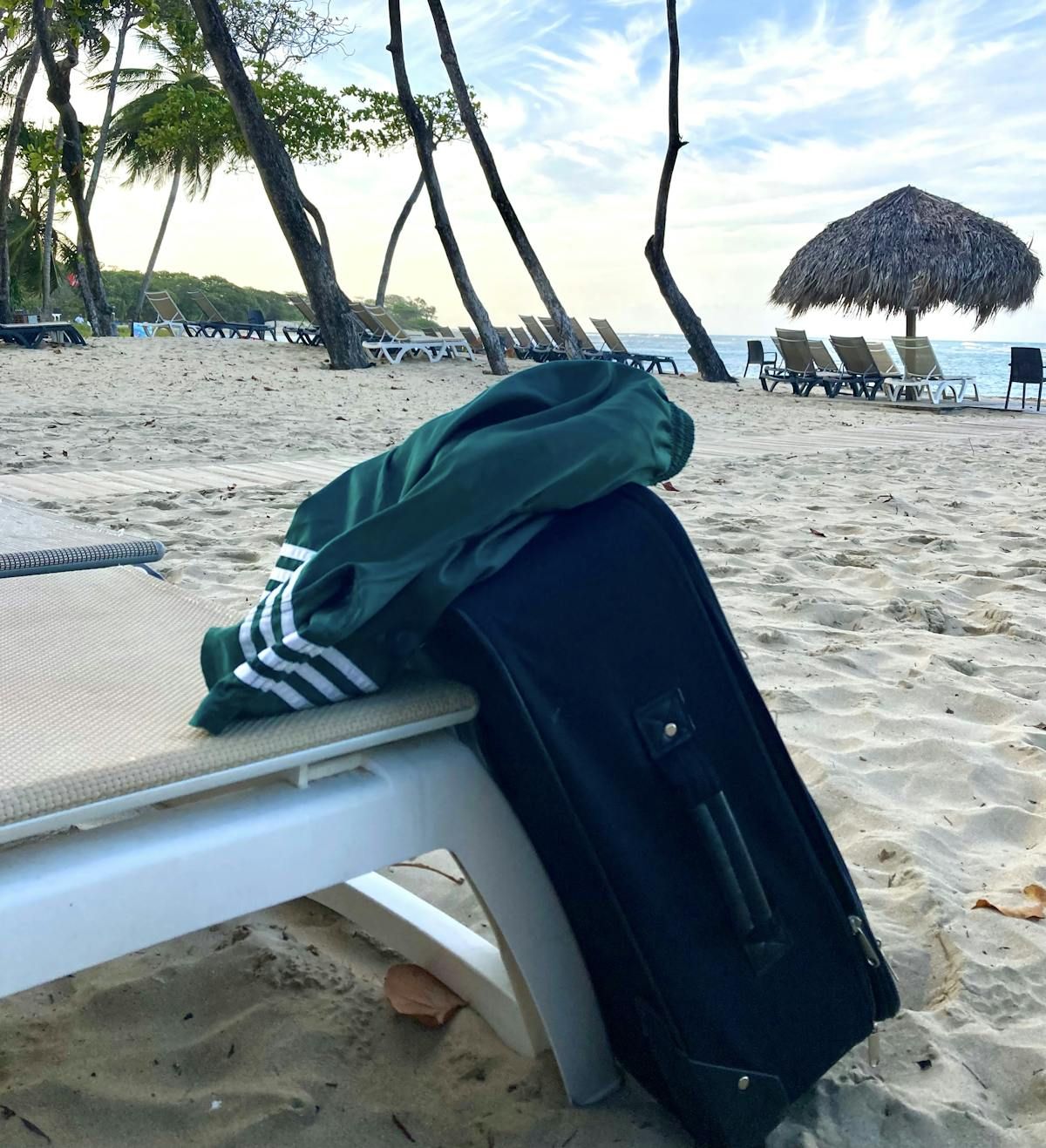 MIKE FINIGAN: Columnist returns from the land of the palms | PNI ...