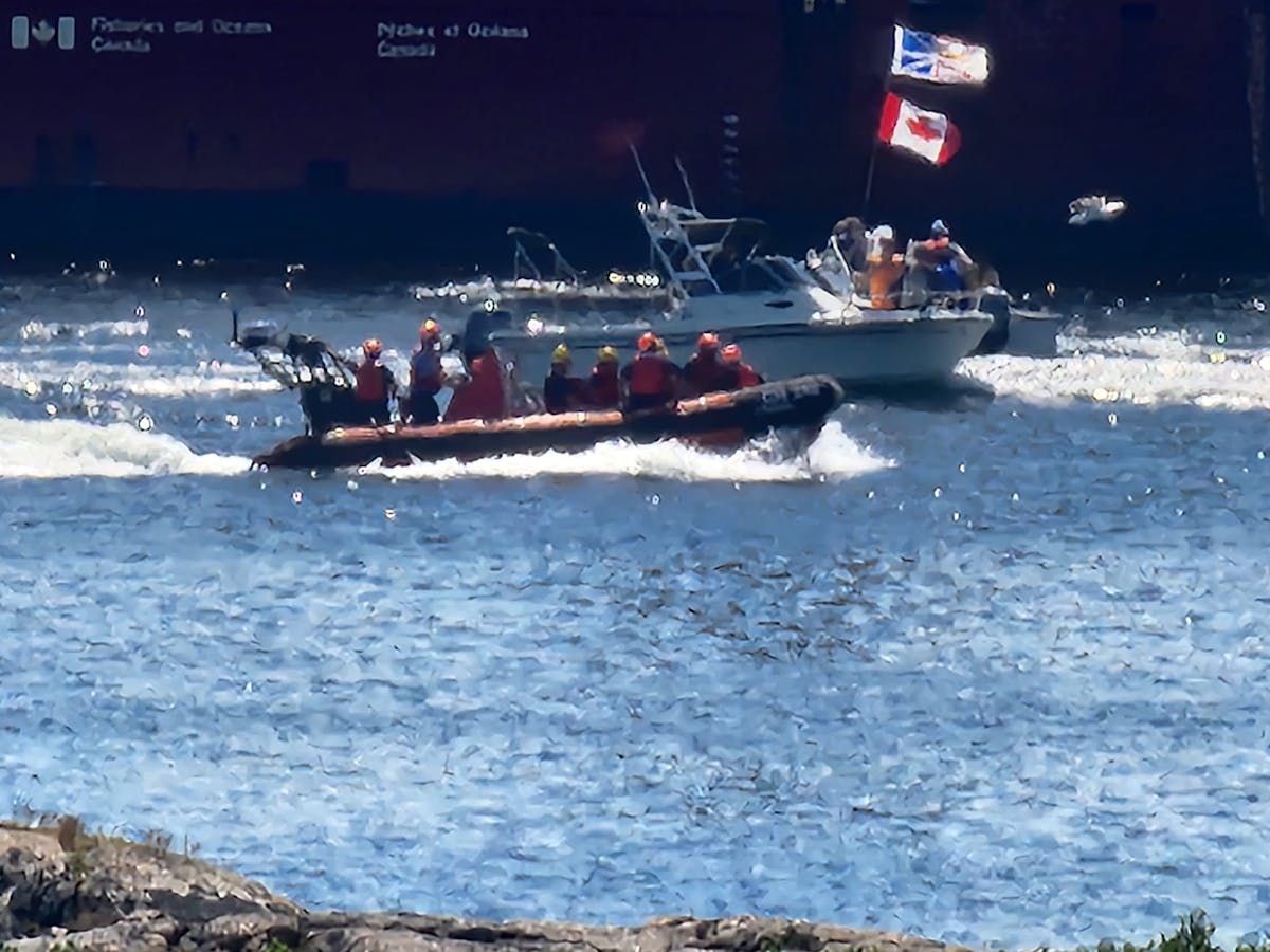 'This is a day that our beautiful province will never forget': Rescued ...