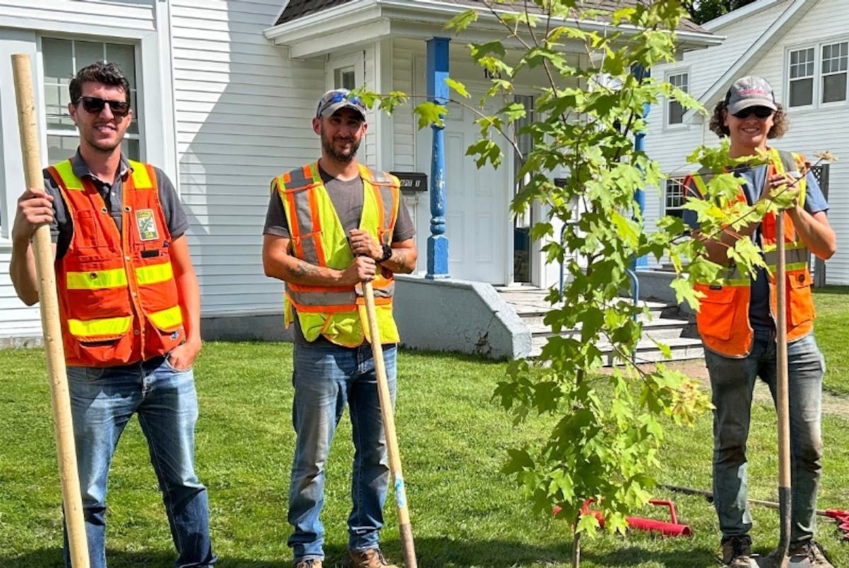 WALK IN THE WOODS: There’s a new tree sheriff in town | PNI Atlantic News