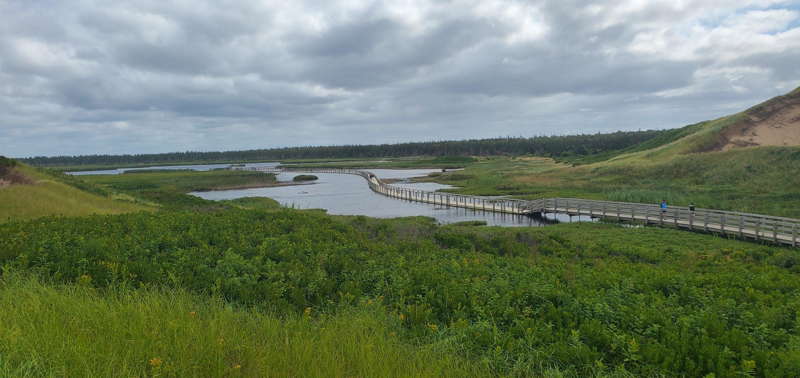 A walk through Greenwich, P.E.I. National Park | PNI Atlantic News