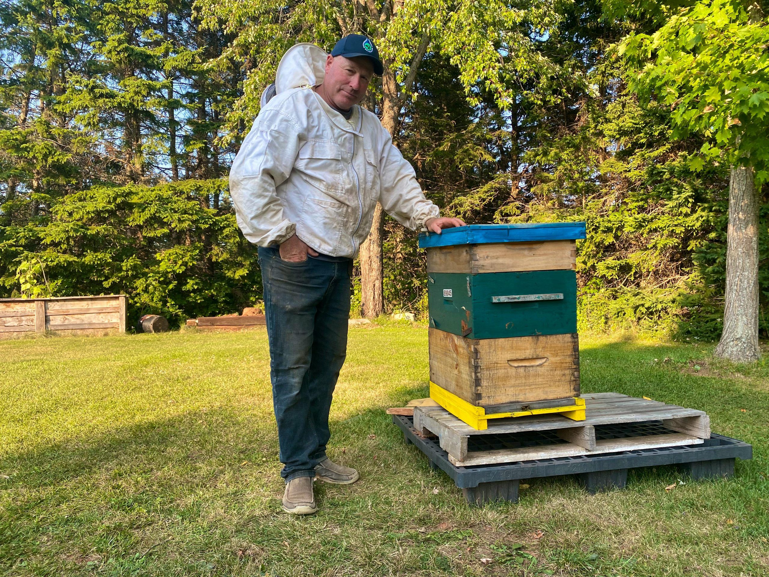 P.E.I. beekeepers confront another fall and winter season tough on pollinators | PNI Atlantic News