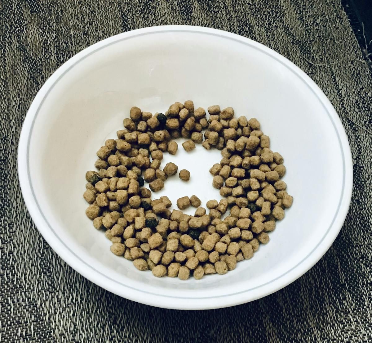 MIKE FINIGAN: Thinking small about columns, cat cuisine and the ...