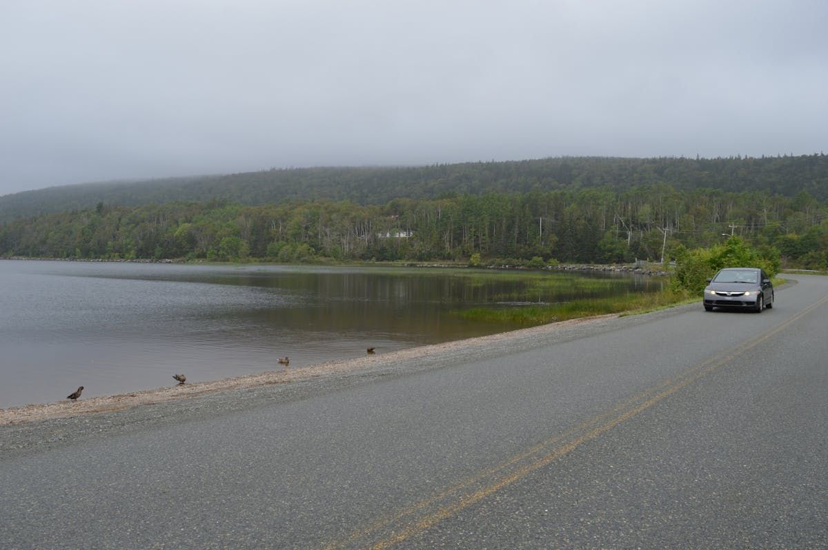 Mi'kmaw elders oppose proposed Cape Breton copper mine | PNI Atlantic News