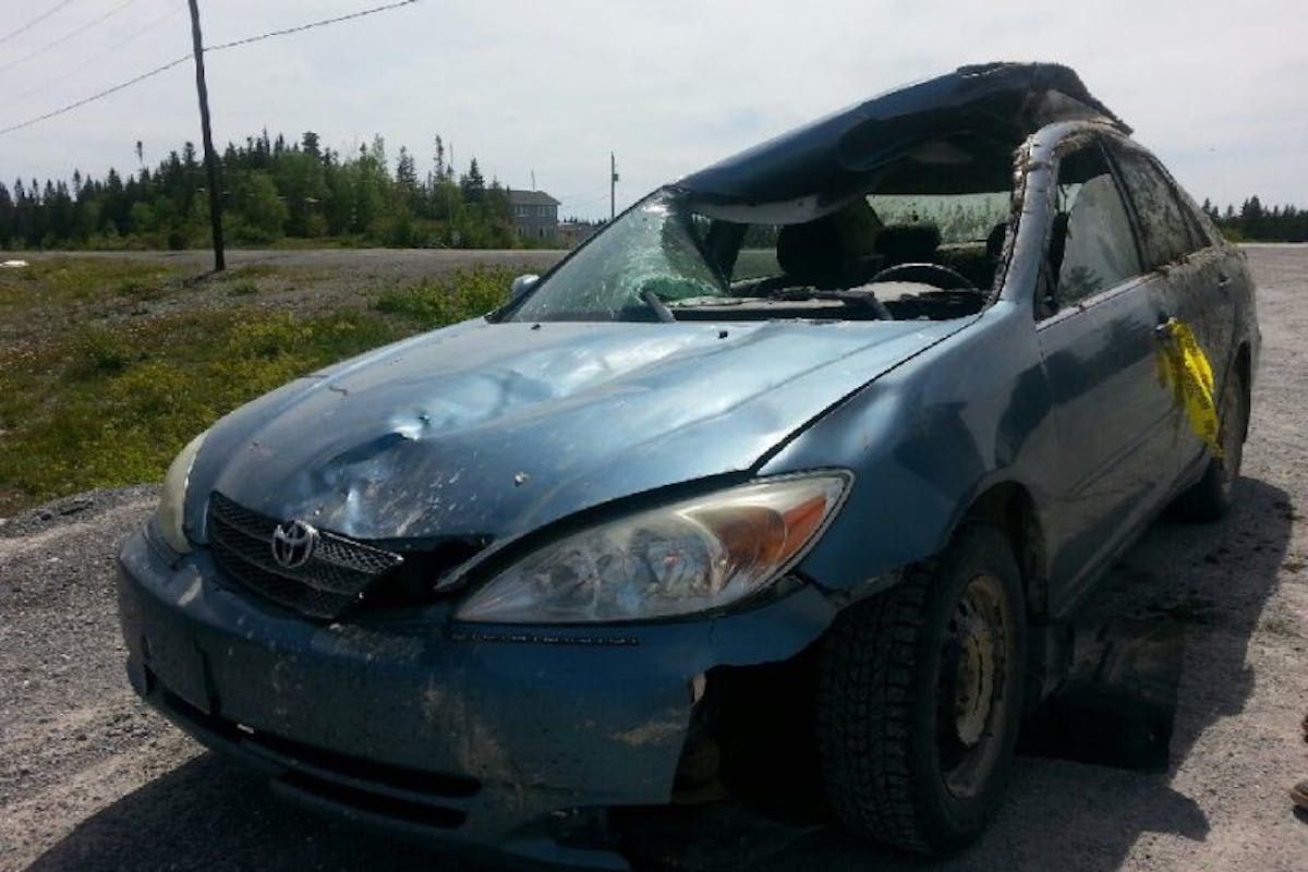 Moose accident on Northern Peninsula Gallery | PNI Atlantic News