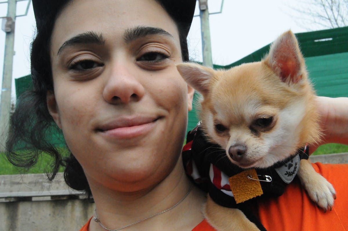 Moose Hide Campaign walks through Bowring Park in St. John’s | PNI ...