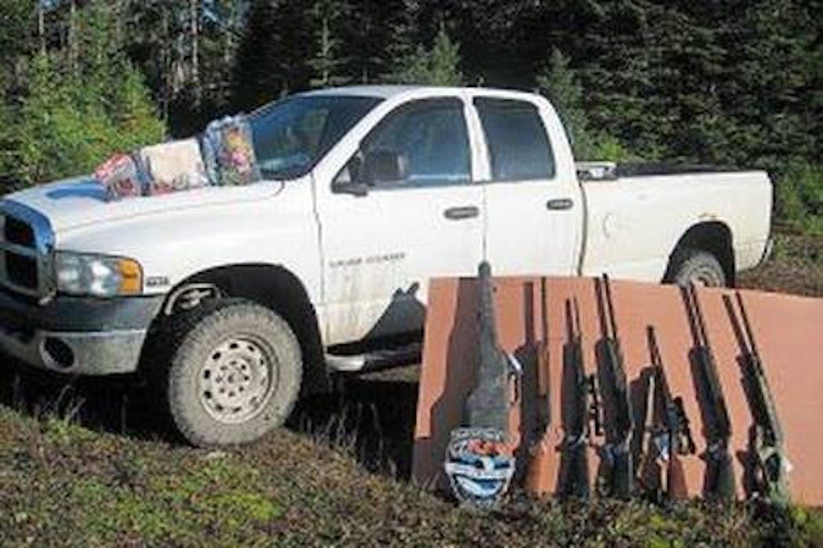 Trio of alleged moose poachers bagged on Northern Peninsula | PNI ...