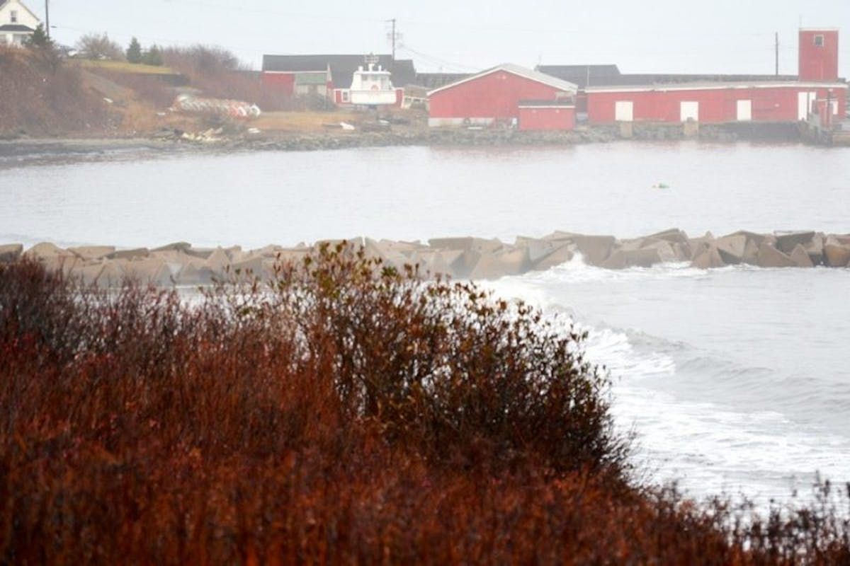 Port Morien residents worried about coastal erosion Gallery | PNI ...