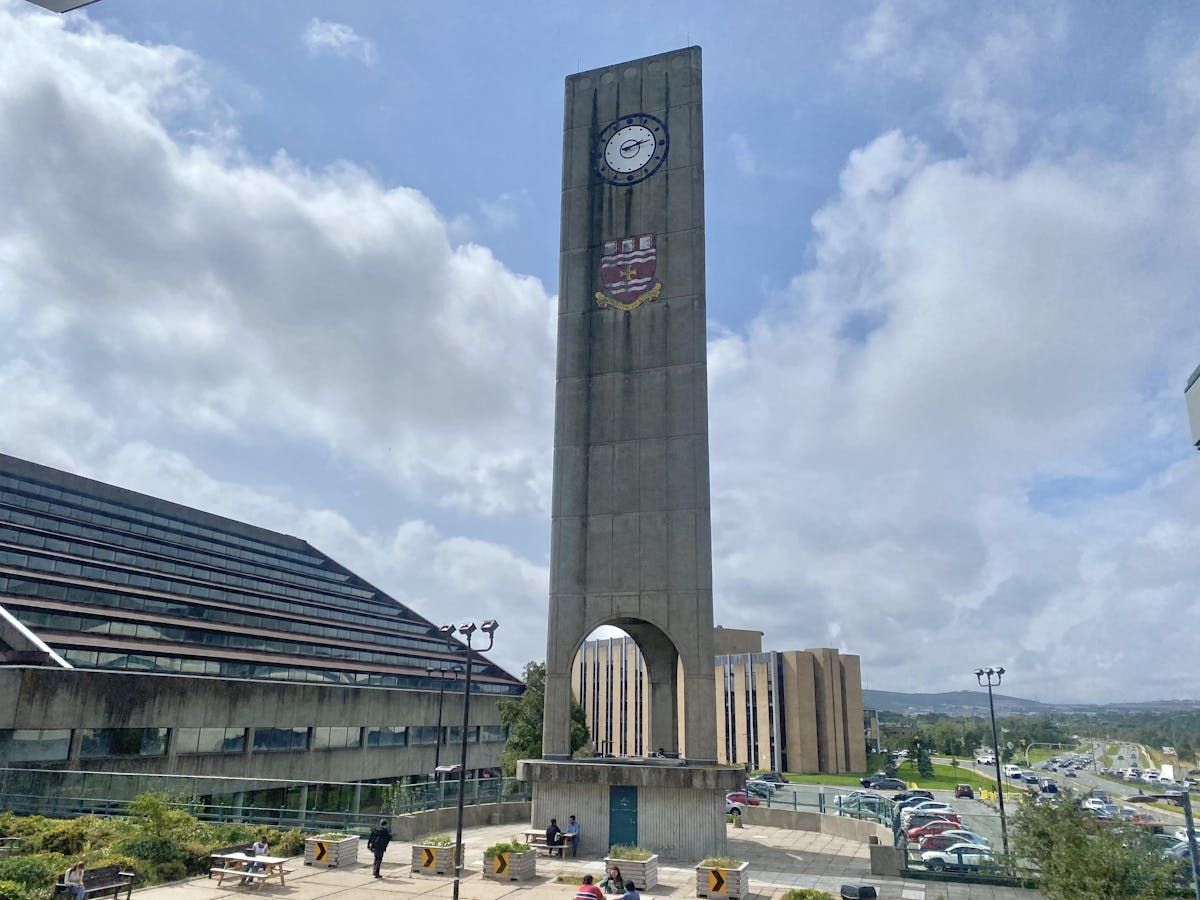 'I see this province as having a lot of opportunities': MUN business ...