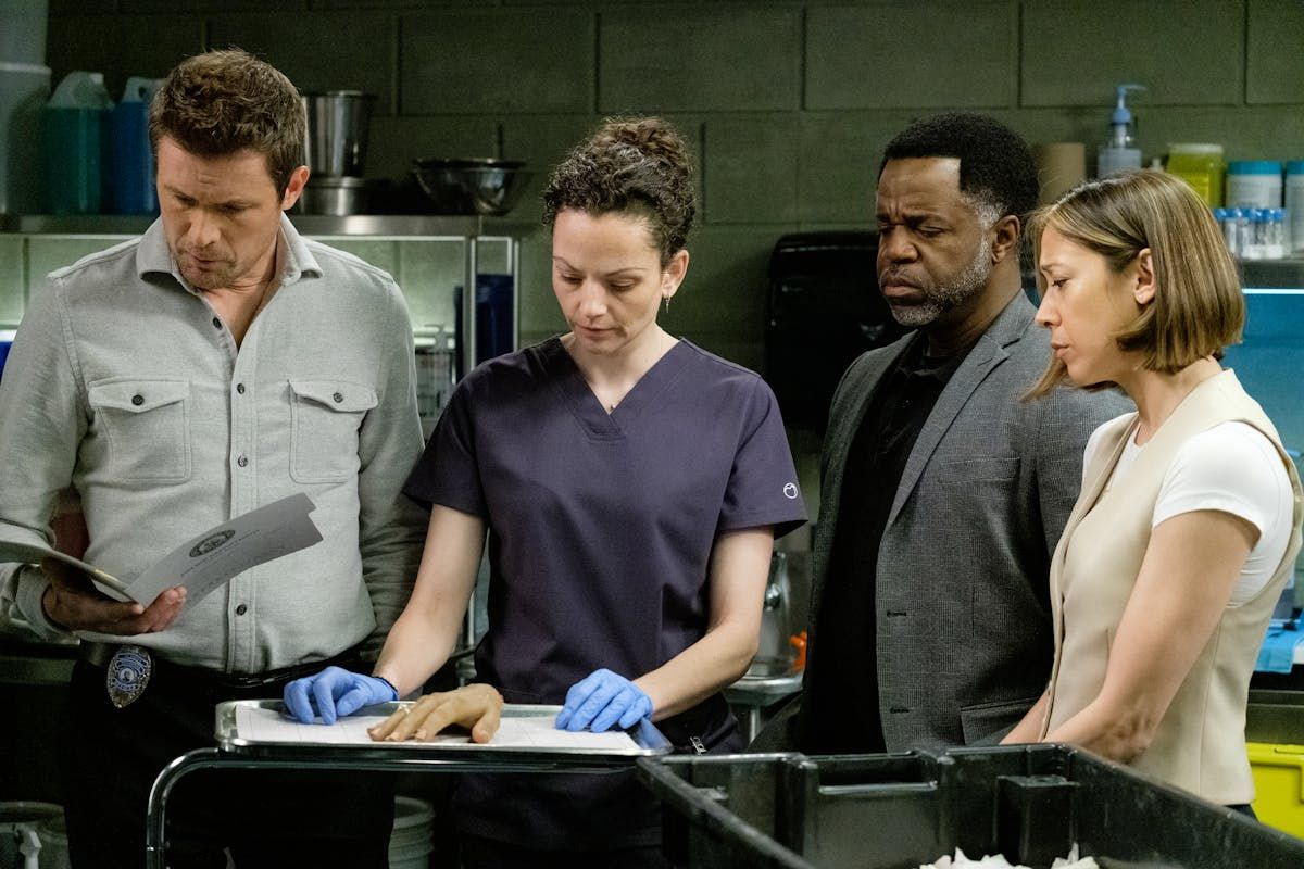 New face coming to season five of Hudson & Rex: Crime-fighting cops ...