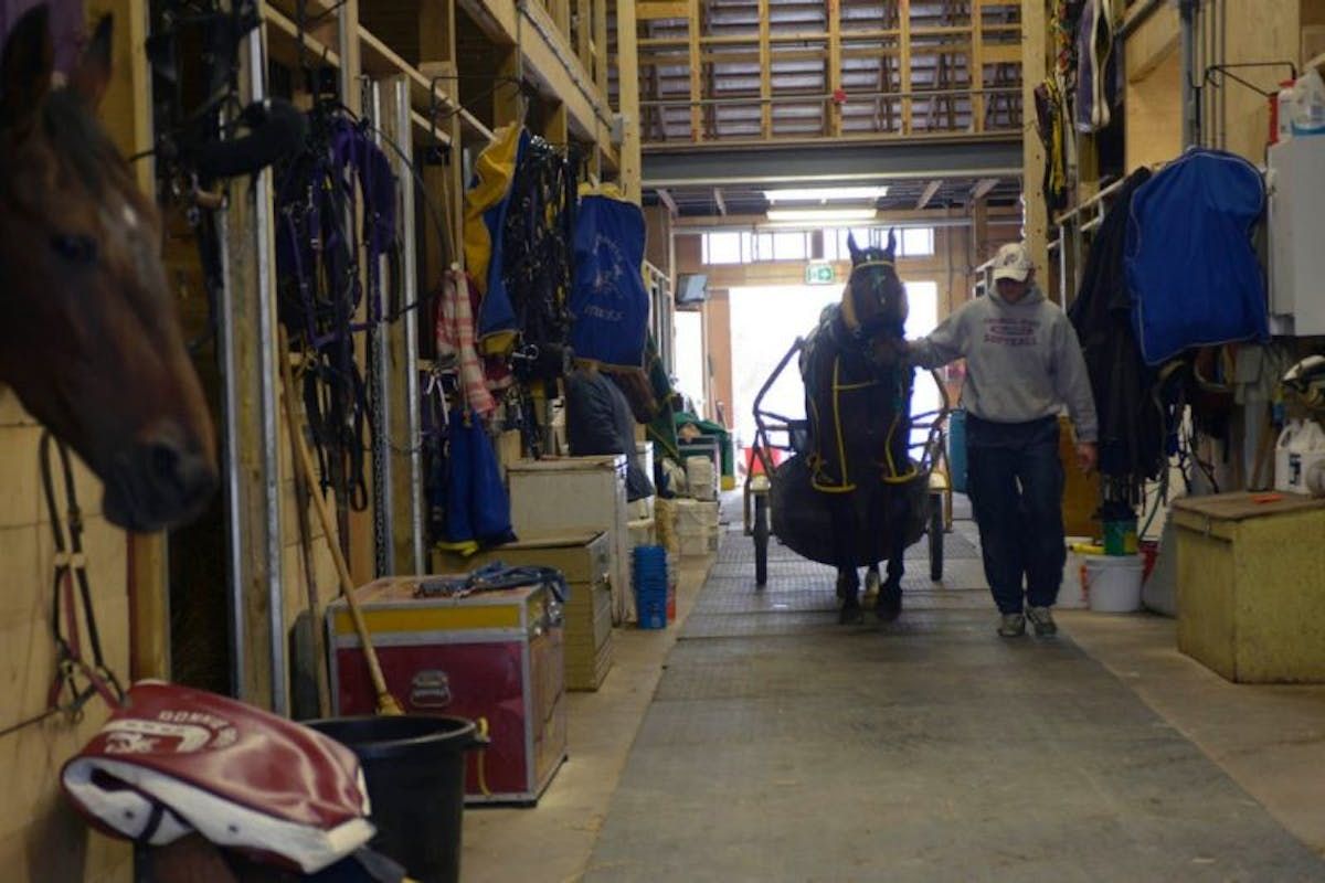 New stables officially open at Red Shores Racetrack Gallery | PNI ...