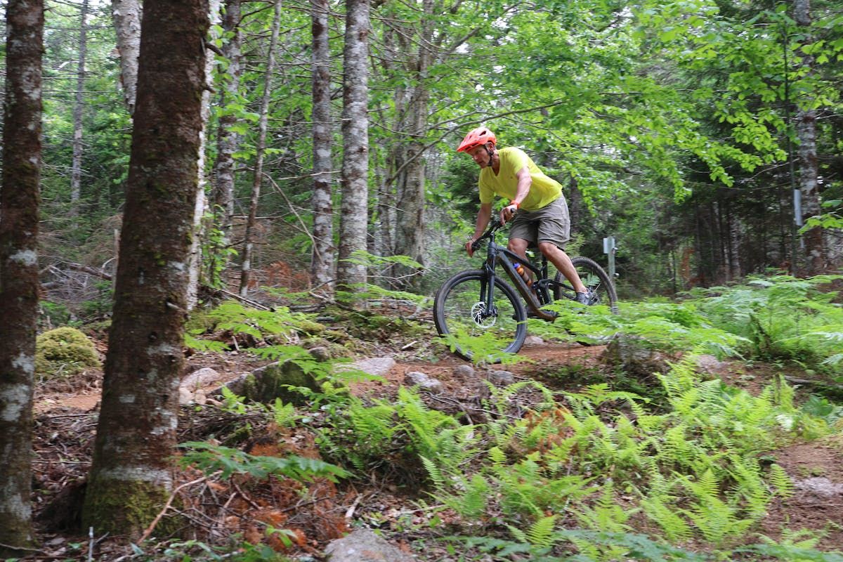 New Upper Clements, N.S., trail system gives former park site a new ...
