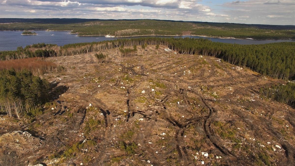 Newfoundland and Labrador launches updated Crown lands website | PNI ...