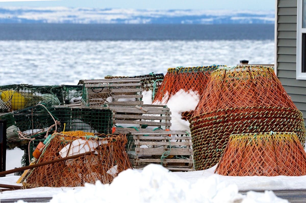 'This catastrophe rivals the cod moratorium': Newfoundland crab fleets ...