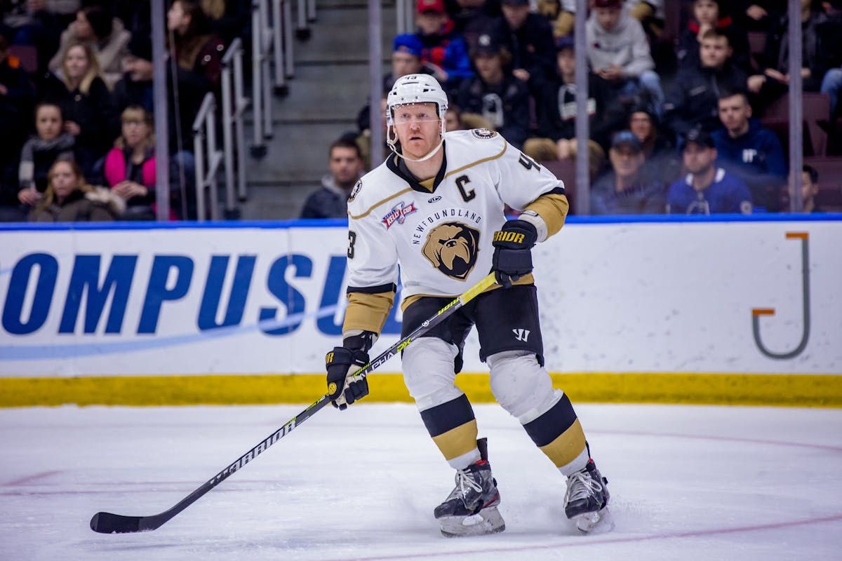 Newfoundland Growlers captain James Melindy in ECHL doghouse again ...