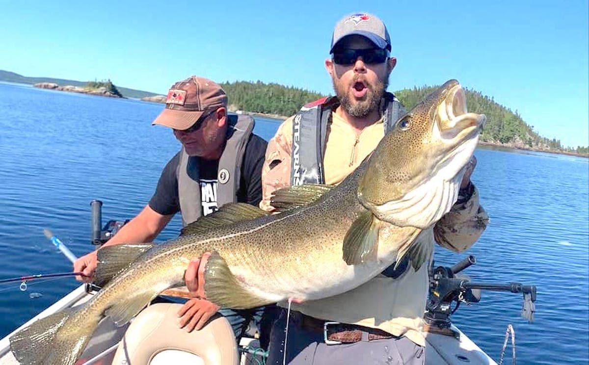 Watch this Newfoundland man land a giant cod | PNI Atlantic News