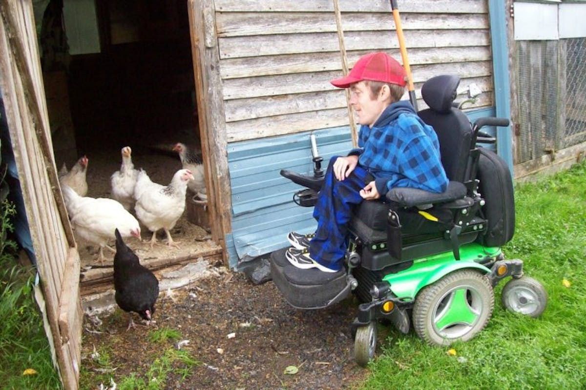 Nick Pike's backyard barnyard has over 60 animals | PNI Atlantic News