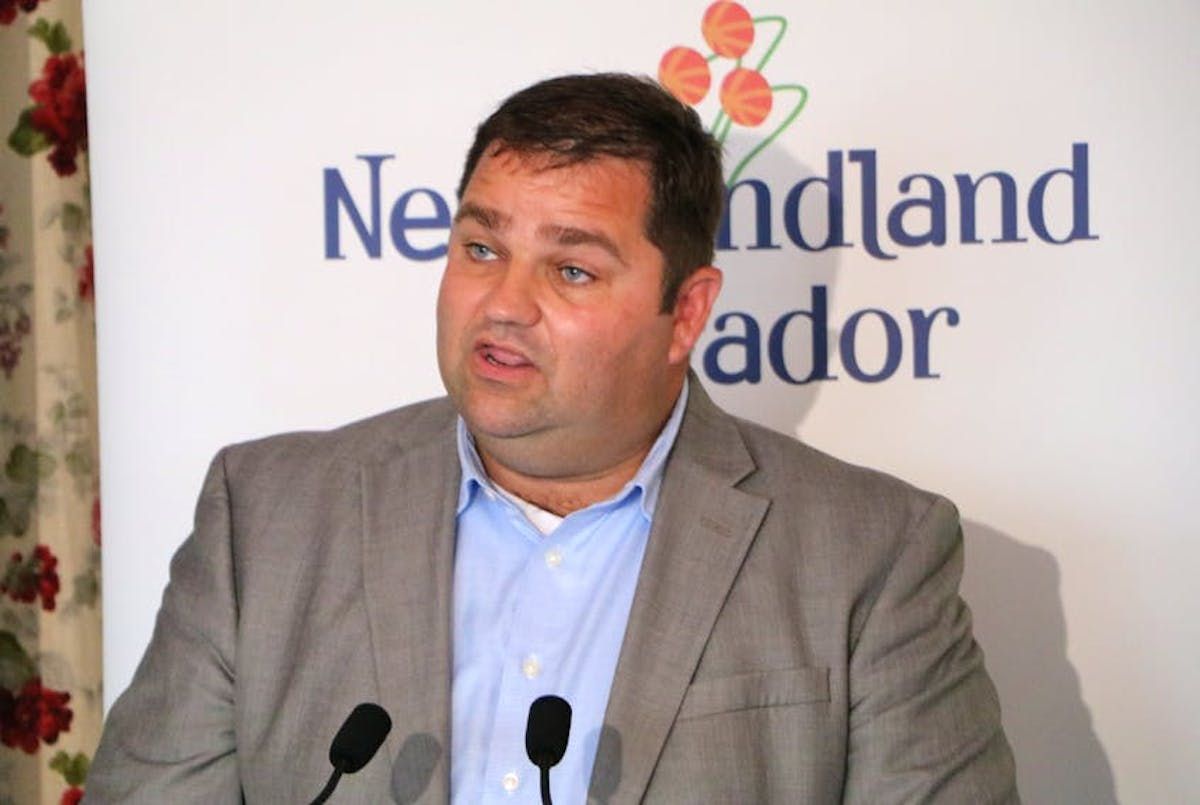 Newfoundland and Labrador government backtracked on pay transparency ...