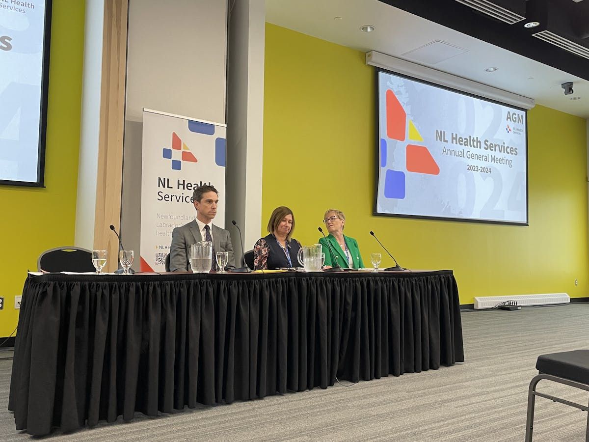 Five takeaways from NL Health Services first year in operation | PNI ...