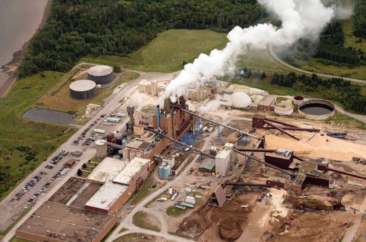 How Nova Scotia fell short of getting a $3.7 billion new pulp mill ...