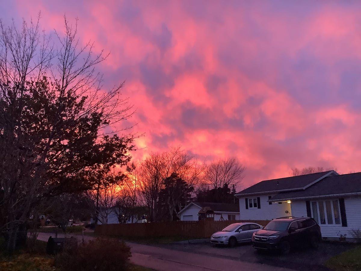 WEATHER PHOTO: Cotton candy sunset in Torbay, N.L. | PNI Atlantic News