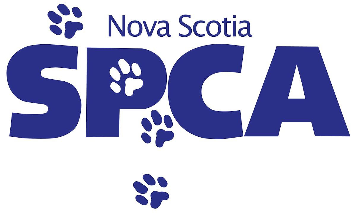 'People were honking and yelling and screaming: Man charged in alleged ...