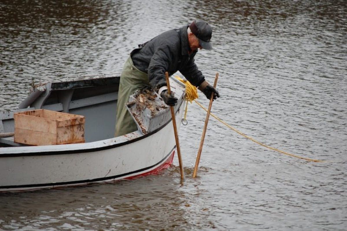 Oyster fishermen ‘blindsided’ by policy, says McGeoghegan Gallery | PNI ...