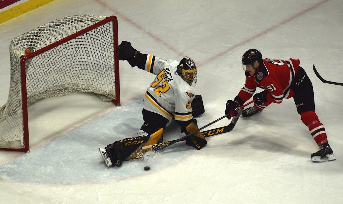 PATRICK MCNEIL: Questions in the crease around the QMJHL early this ...