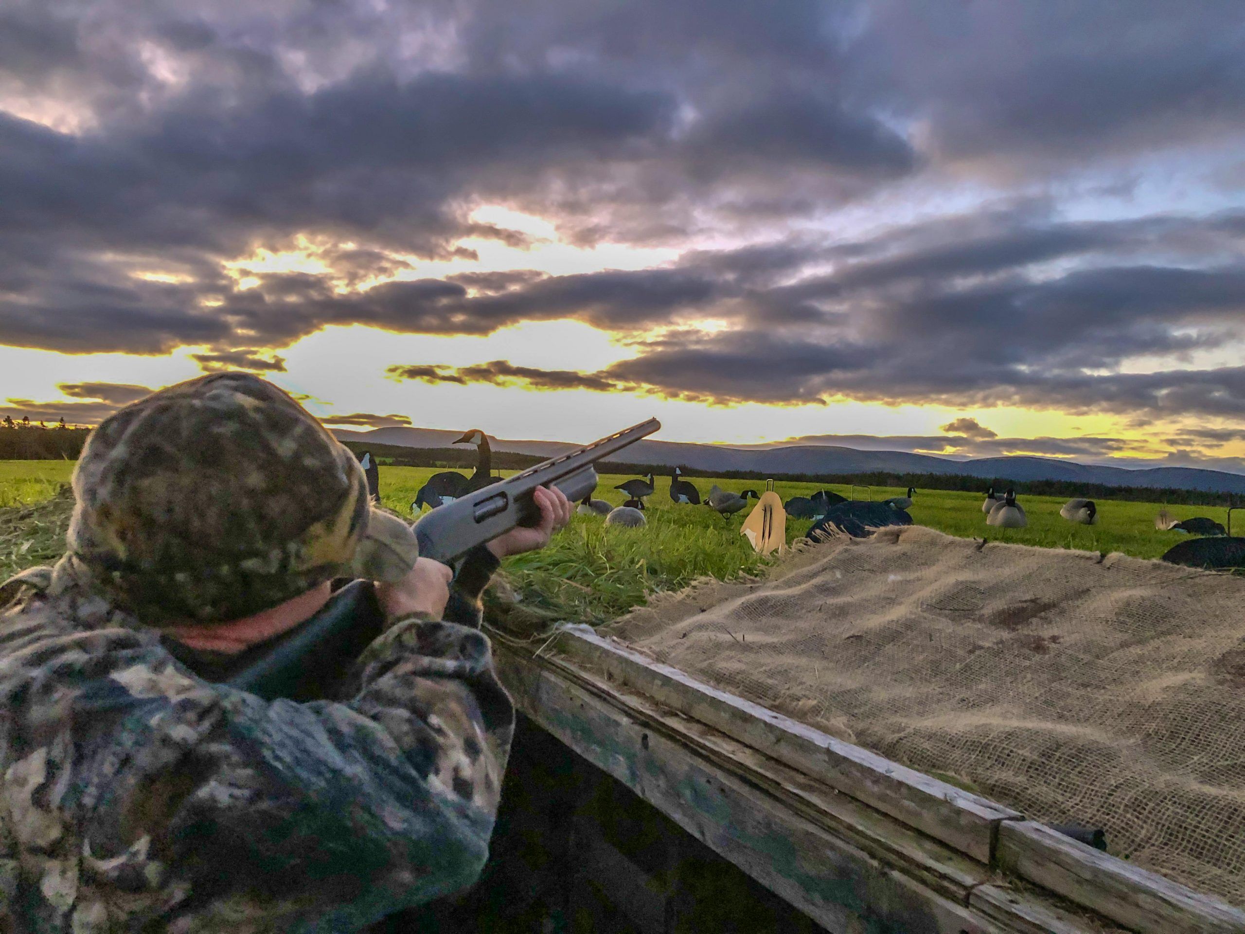 PAUL SMITH: How switching up ammunition and some good decoys made for ...