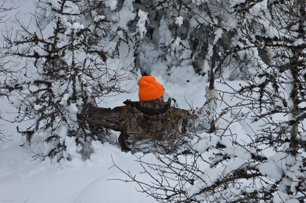 PAUL SMITH: The life of a winter trapper on the hunt for beaver Gallery ...