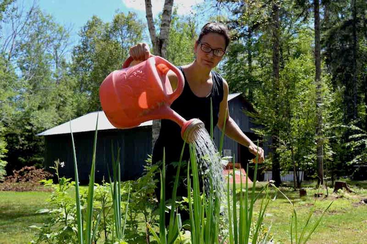 ALISON JENKINS: The beginner gardener has lost track of what's in the ...