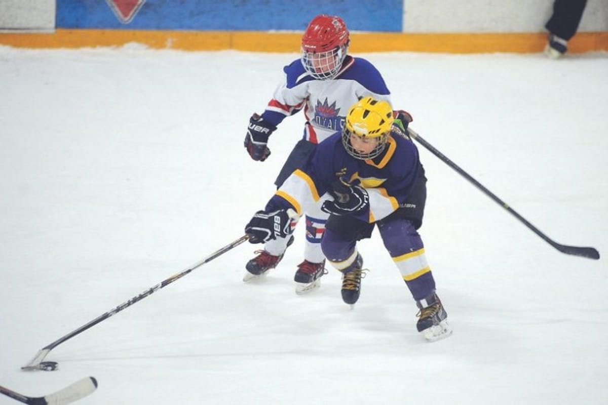Deer Lake nabs pair of gold medals on provincial peewee stage Gallery | PNI Atlantic News