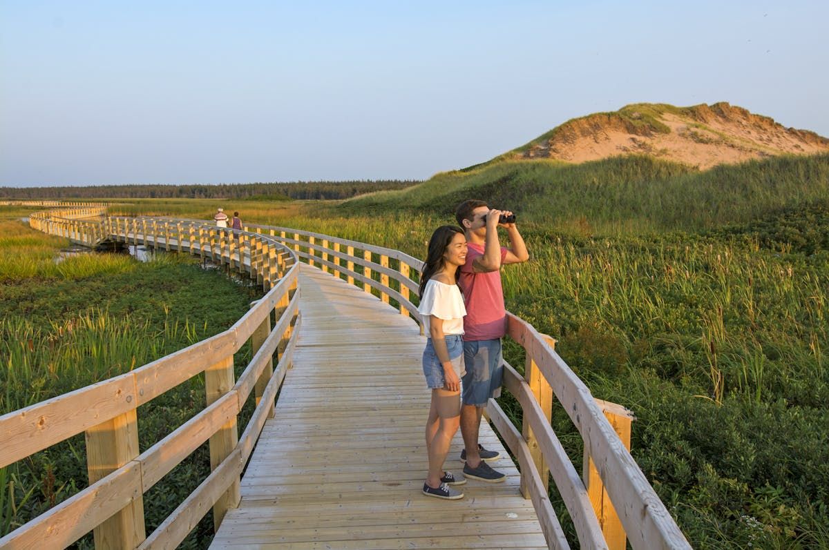 Prince Edward Island residents encouraged to #ActivateOurIsland this ...