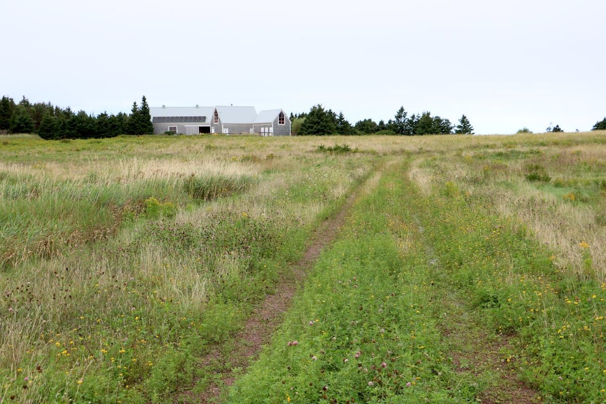 P.E.I. developer Tim Banks suing environmental group, appraiser, Parks ...