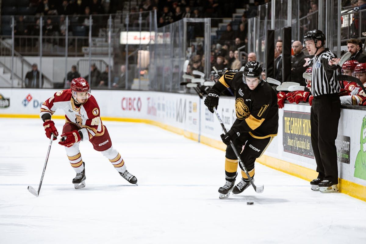 P.E.I. players Sharkey, Clements star in Titan win vs. Islanders | PNI ...