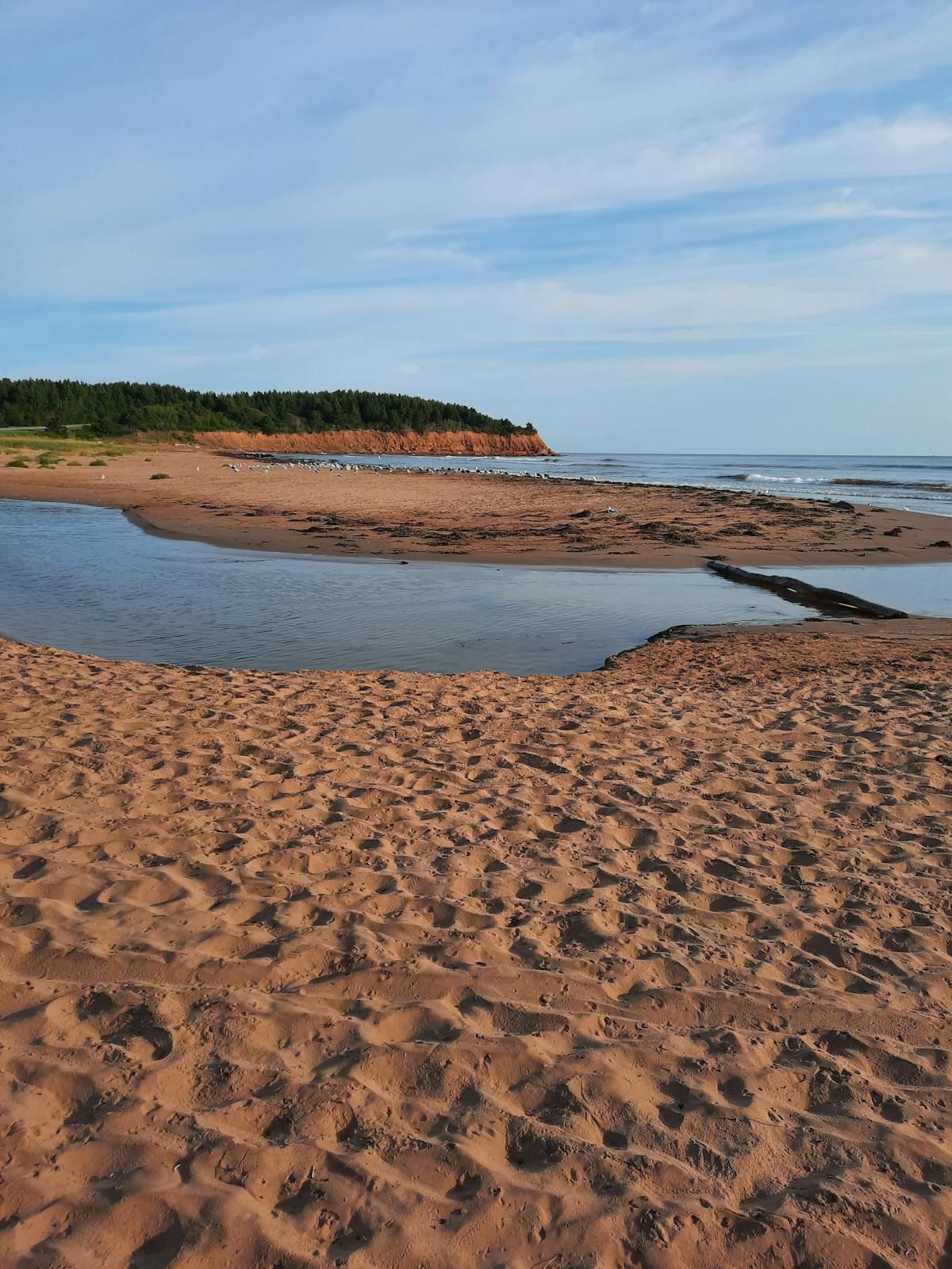 WEATHER PHOTO: Moment of solitude in North Rustico, P.E.I. | PNI ...