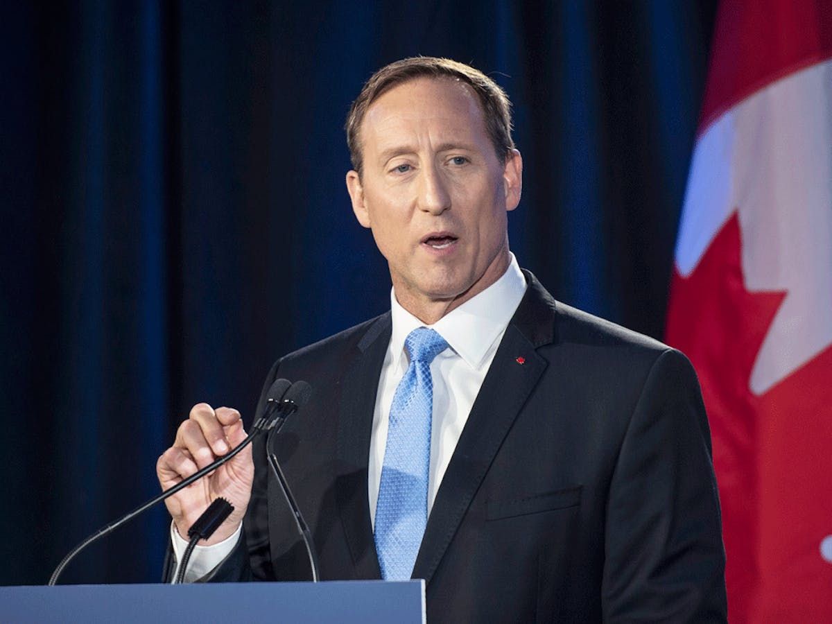 Will Peter MacKay run for the Conservative leadership again? | PNI ...