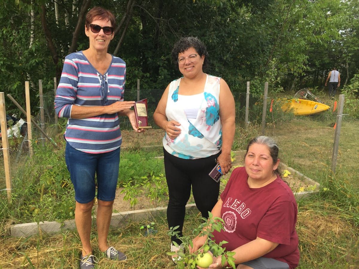 Pictou Landing First Nation garden project wins annual Ed Bowden ...